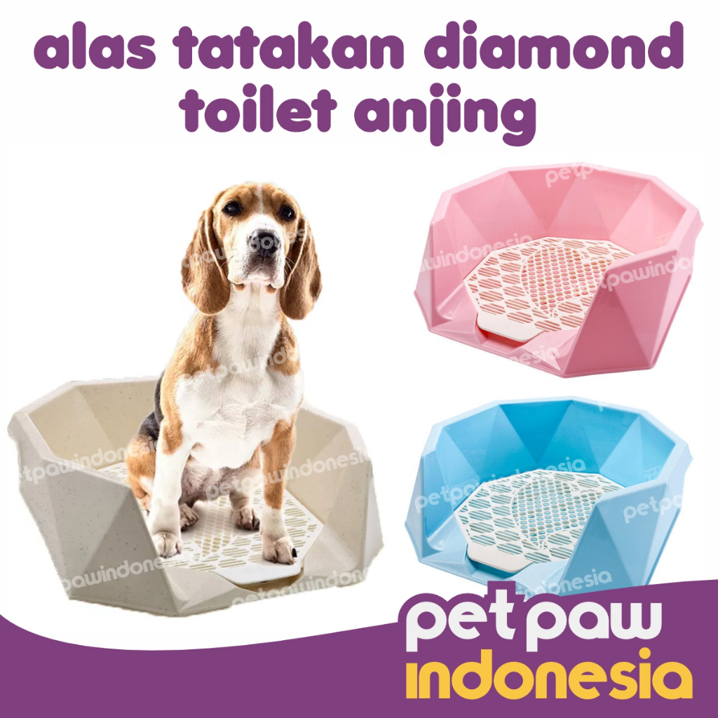 Jual Tempat Poop Pee Anjing / Pet Toilet Training Diamond | Shopee ...