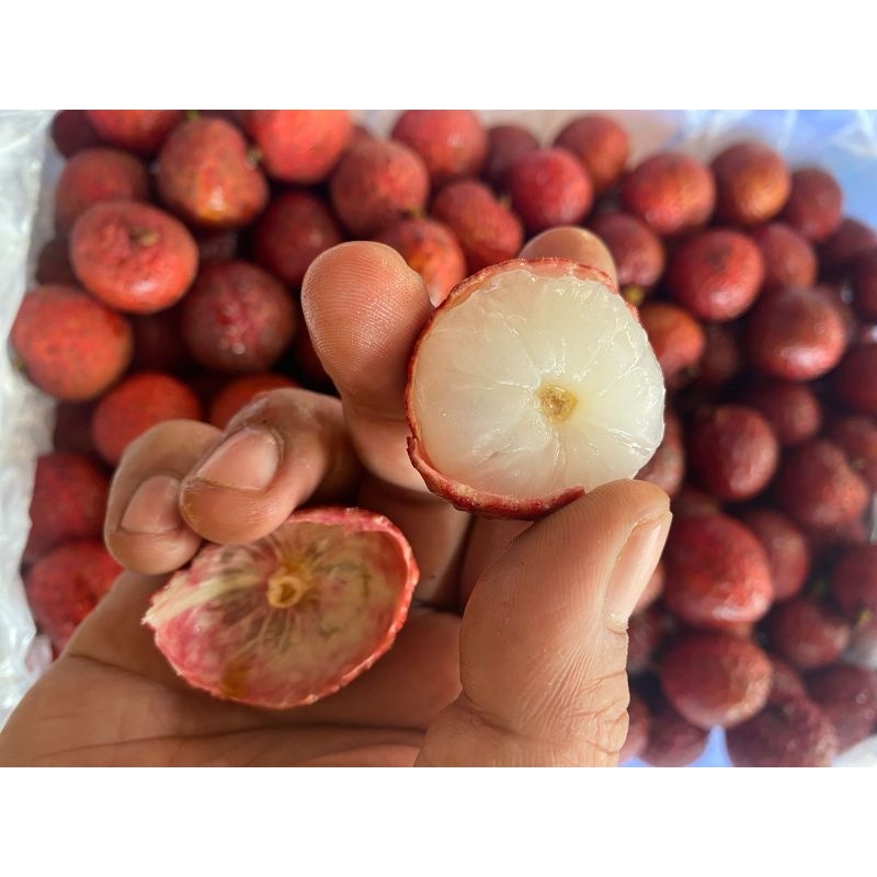 Jual BUAH LECHY|BUAH LECI MURAH!buah leci bandung|buah lechy hijau|buah ...