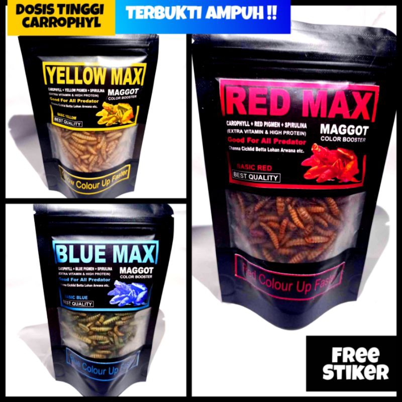 Jual Maggot Kering BSF Magot Pakan Chana Red Yellow Blue | Shopee Indonesia