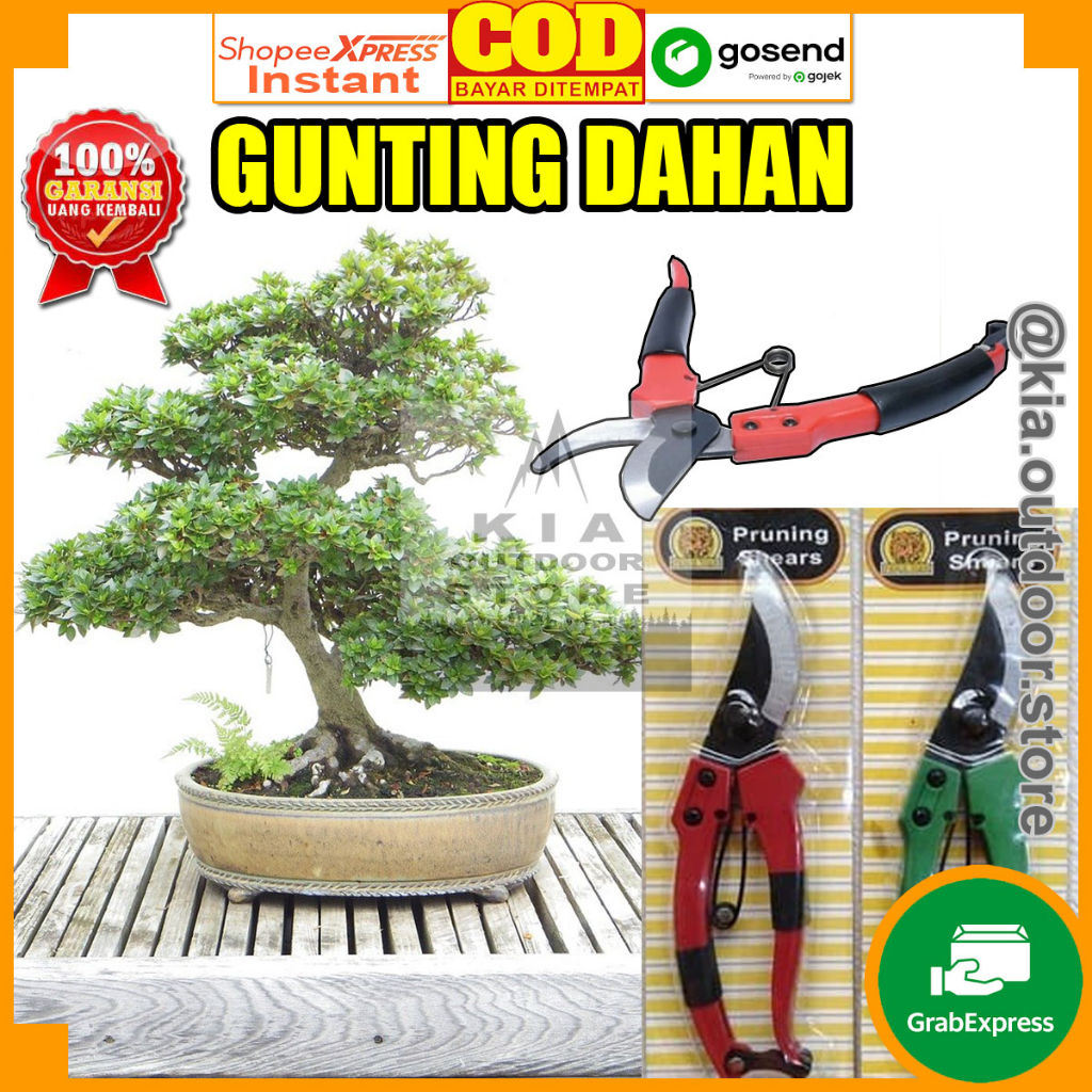 Jual COD Gunting Tanaman Alat Pemotong Ranting Dahan Stek Cangkok Pohon ...