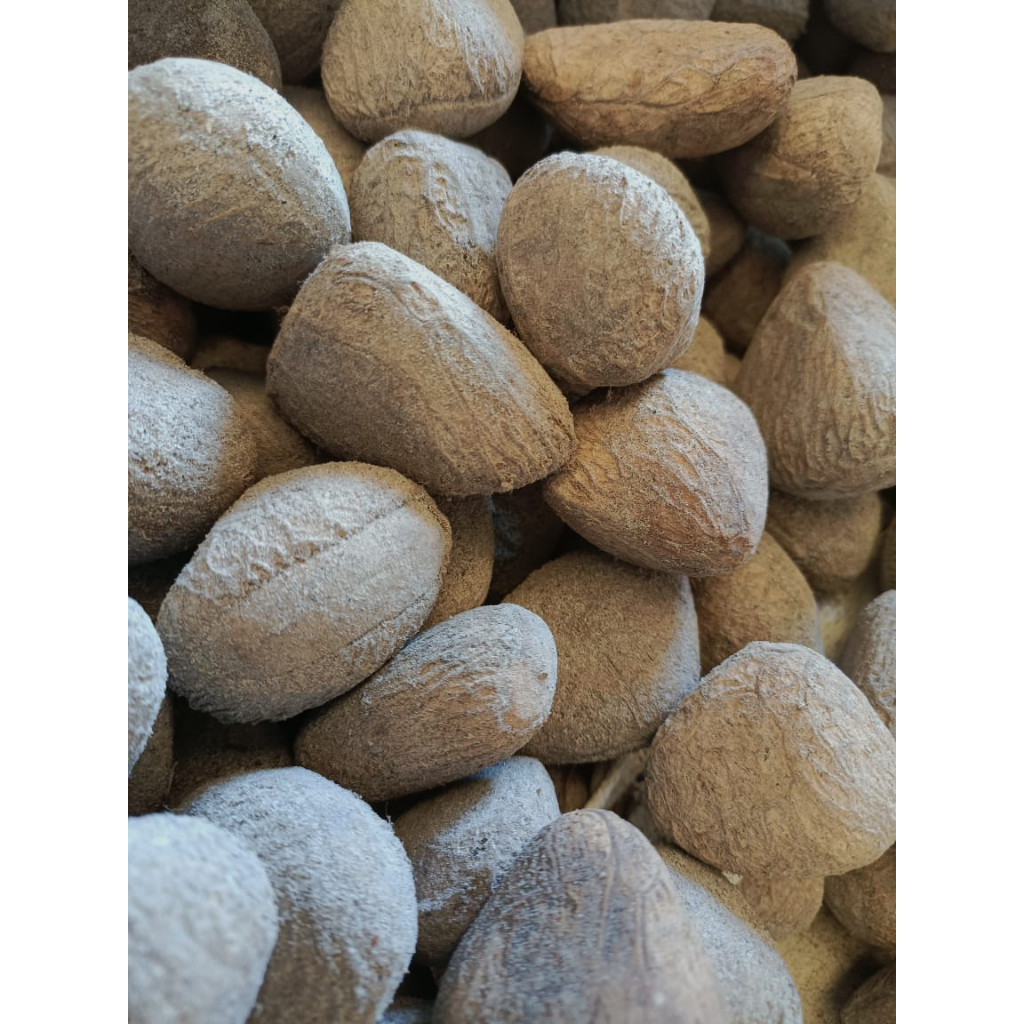 Jual Kluwek Utuh (Kemasan 250 Gr sd 1000 Gr) | Shopee Indonesia