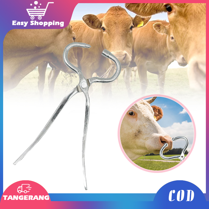 Jual Tang Hidung Sapi Kerbau Lembu 35cm Tang Penjepit Hidung Sapi ...