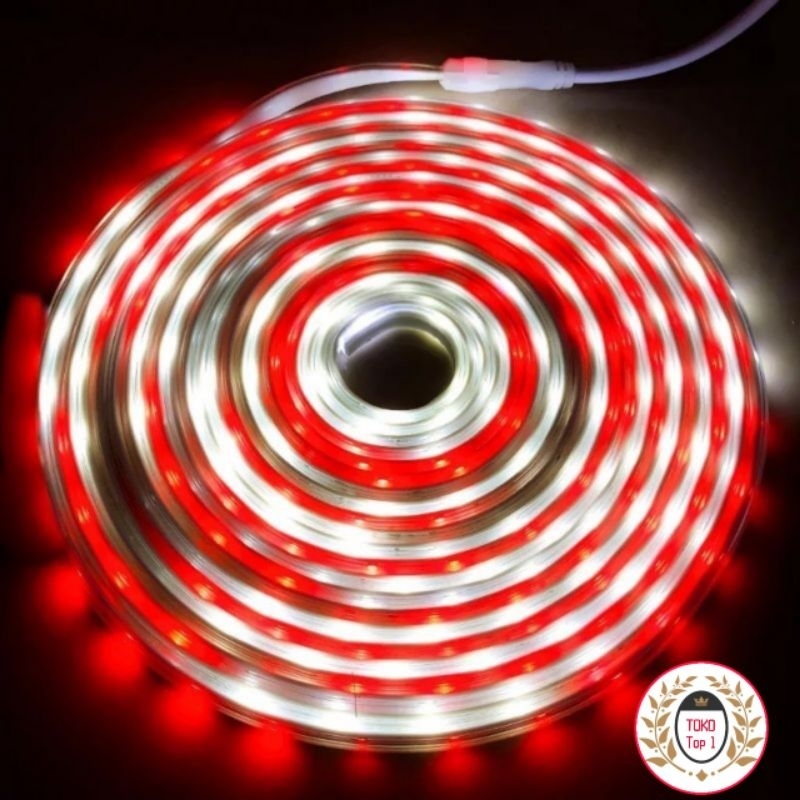 Jual Lampu Strip Merah Putih LED Selang 10M Paket Lengkap AC 220V Lampu ...