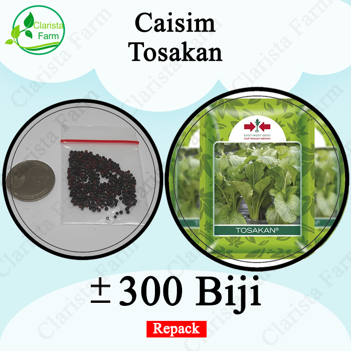 Jual Benih Bibit Caisim Chaisim Sawi Tosakan Repack Cap Panah Merah ...