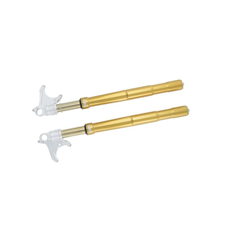 Jual OHLINS Front Fork Ducati Panigale V2 / V4 / 889 / 959 Original ...