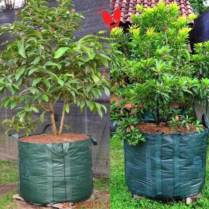 Jual Pot Bonsai 200 Liter Pot Bunga Plastik Pot Tanaman Hias Planter ...