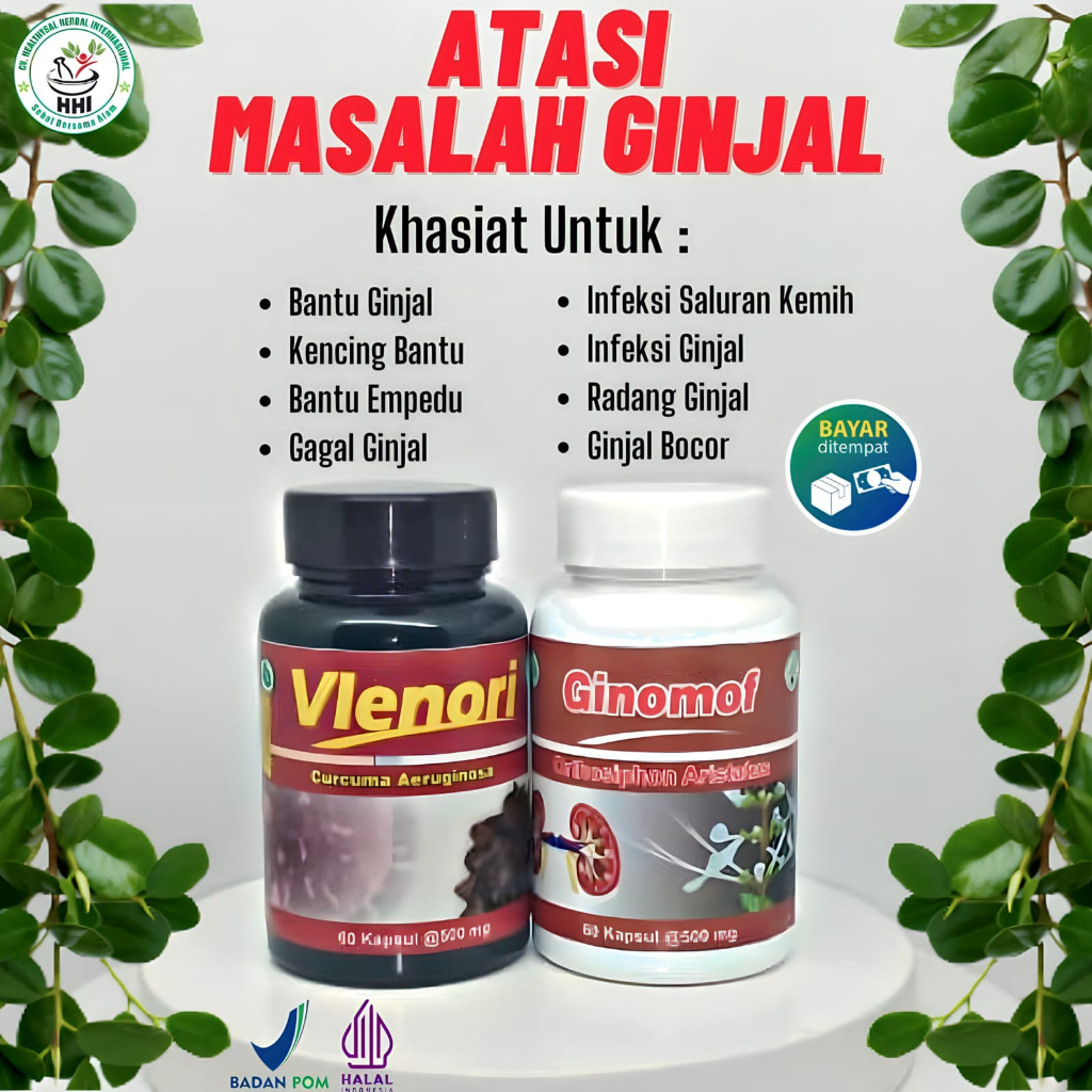 Jual Obat Herbal Batu Ginjal Batu Empedu Gagal Ginjal Vlenori Ginomof ...