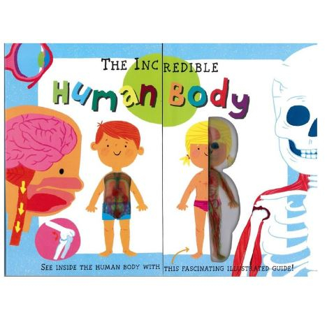 Jual Buku Anak: Board Book The Incredible Human Body | Shopee Indonesia