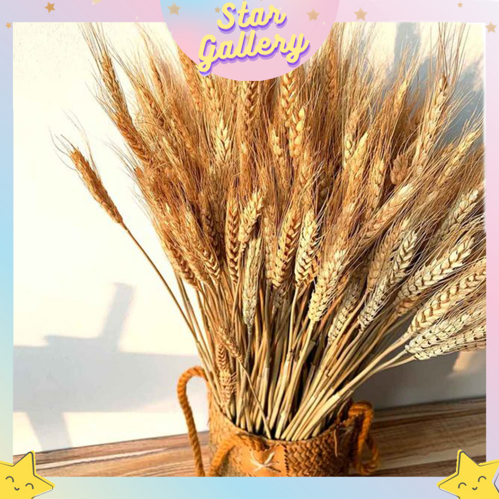 Jual Dekorasi Padi Kering Artificial Bunga Kering Hias Dekorasi Buket ...