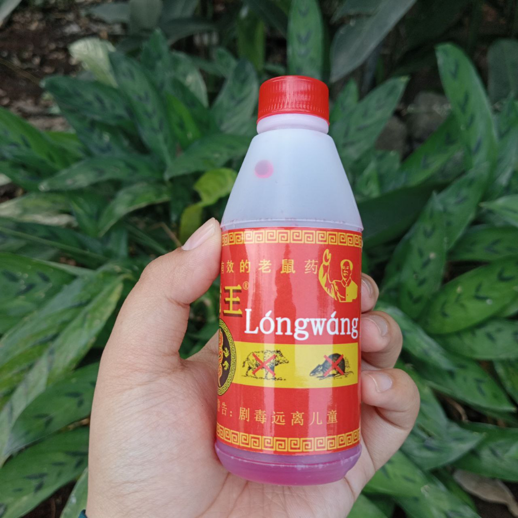 Jual Longwang Cair Racun Tikus dan Babi Hutan Celeng Pasti Mati ...