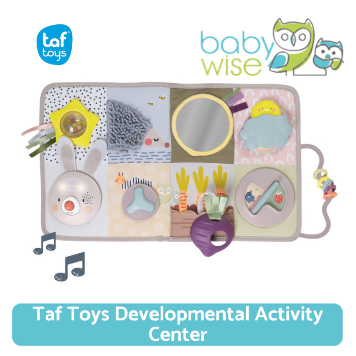 Jual Taf Toys Developmental Activity Center | Shopee Indonesia