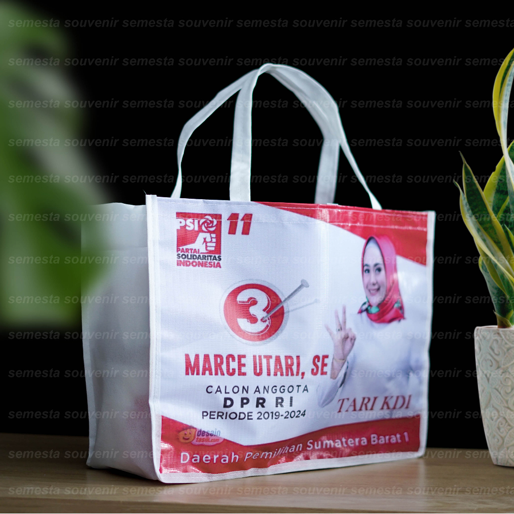 Jual Tas Sembako, souvenir perusahaan caleg anggota dewan, bingkisan ...