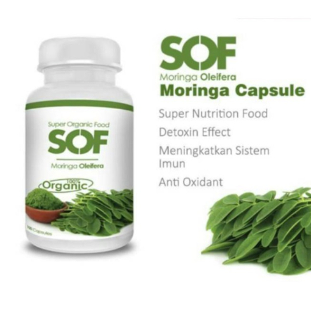 Jual SOF Moringa Oleifera Extract | SOF Moringa Kapsul Daun Kelor Moringa Oleifera | Shopee ...