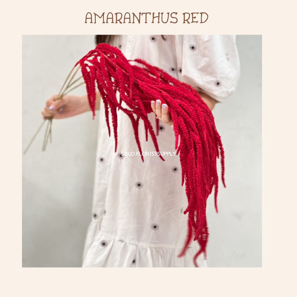 Jual bunga gantung hias amaranthus artificial BUNGA AMARANTHUS PREMIUM ...