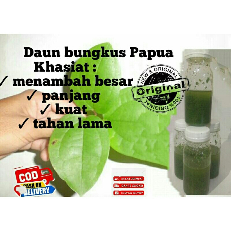 Jual Daun bungkus papua asli / Minyak daun bungkus papua | Shopee Indonesia