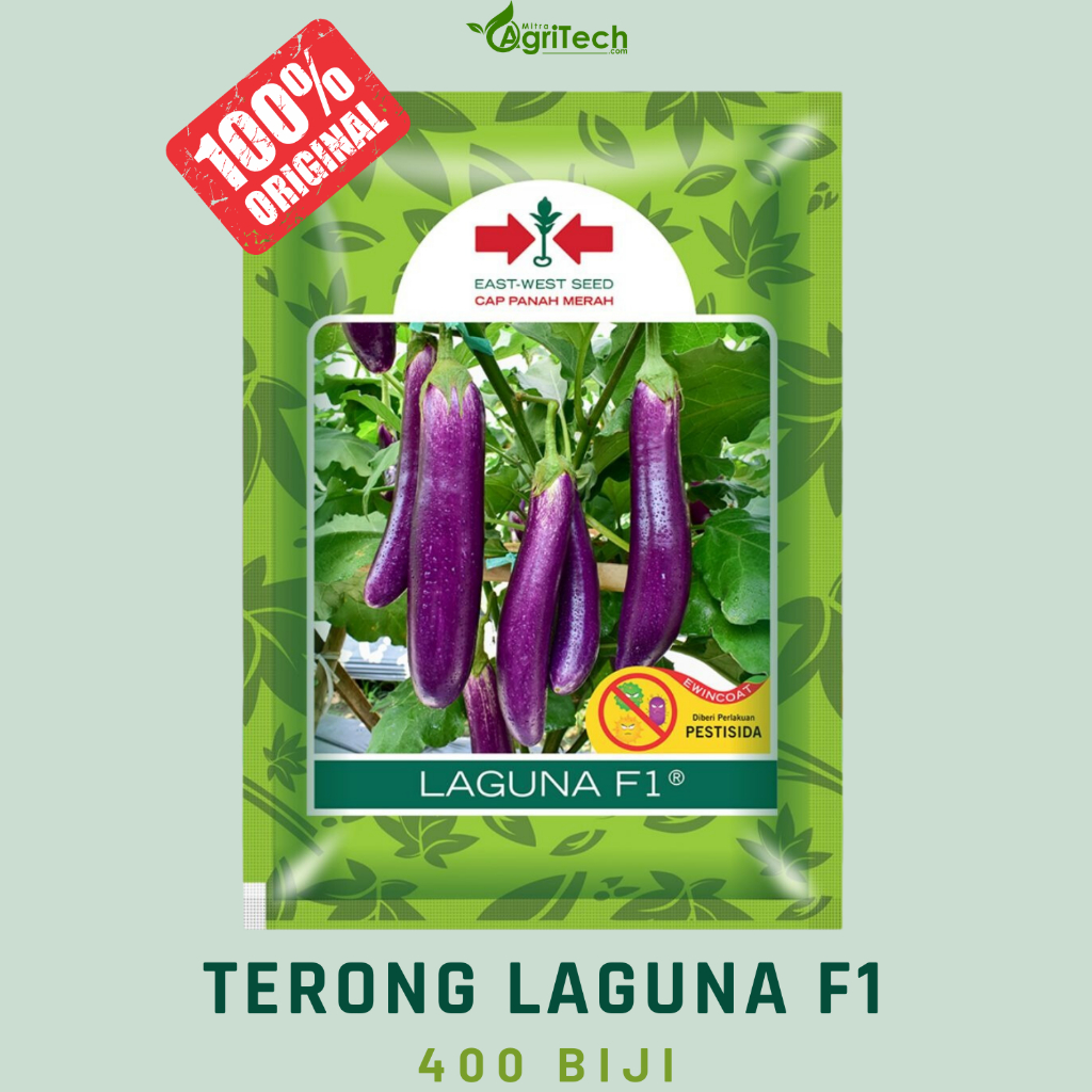 Jual BENIH TERONG UNGU LAGUNA F1 SP ISI 400 BIJI - CAP PANAH MERAH | Shopee Indonesia