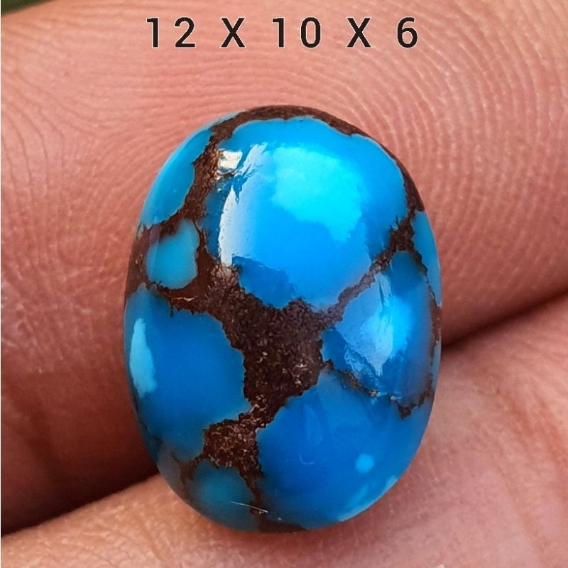 Jual pirus mesir kualitas super grade a ++ murah | Shopee Indonesia