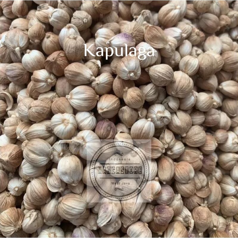 Jual Kapulaga 1kg Kapulaga Jawa Kapolaga | Shopee Indonesia