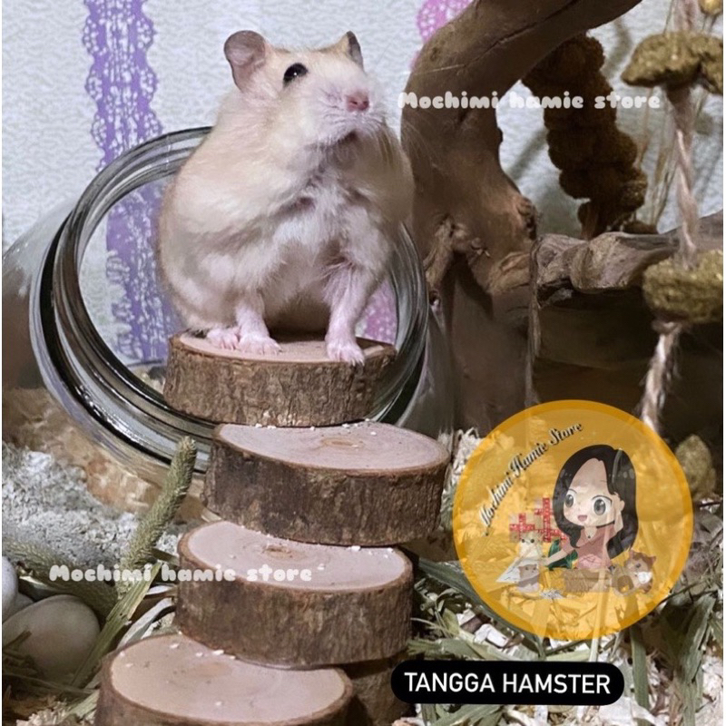 Jual Tangga Kayu Hamster | Tangga Hamster Aesthetic Dekorasi Kandang ...