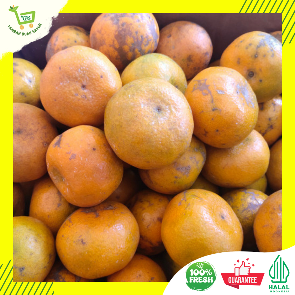 Jual JERUK MEDAN | KUALITAS SUPER A (KHUSUS SAMEDAY DAN INSTAN ...