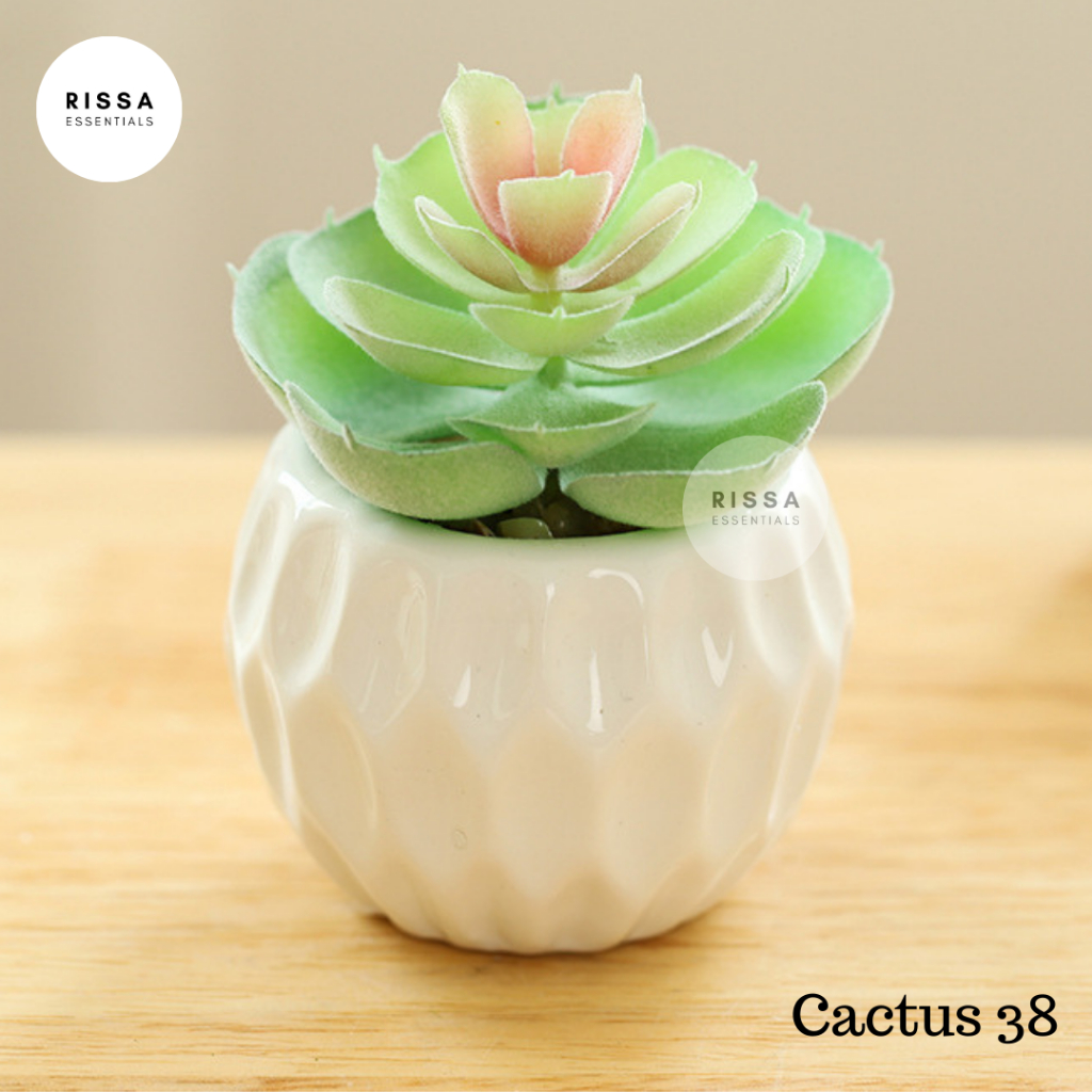 Jual [RISSA] Mini Kaktus Sintetis Cactus Palsu Kecil Tanaman Pot Palsu ...