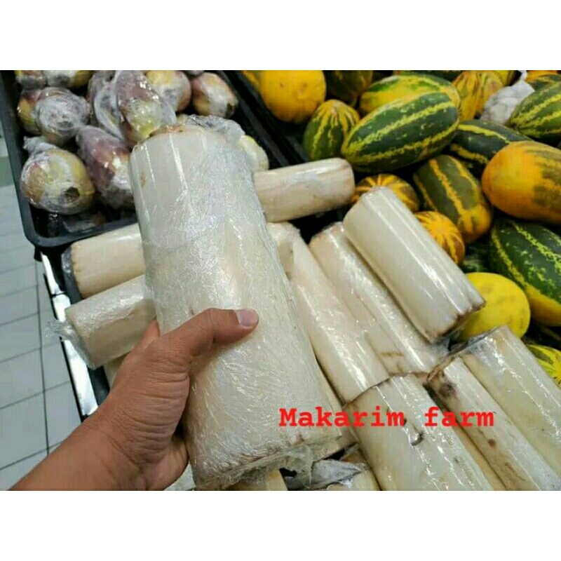 Jual gedebog pisang batang pisang 1kg | Shopee Indonesia