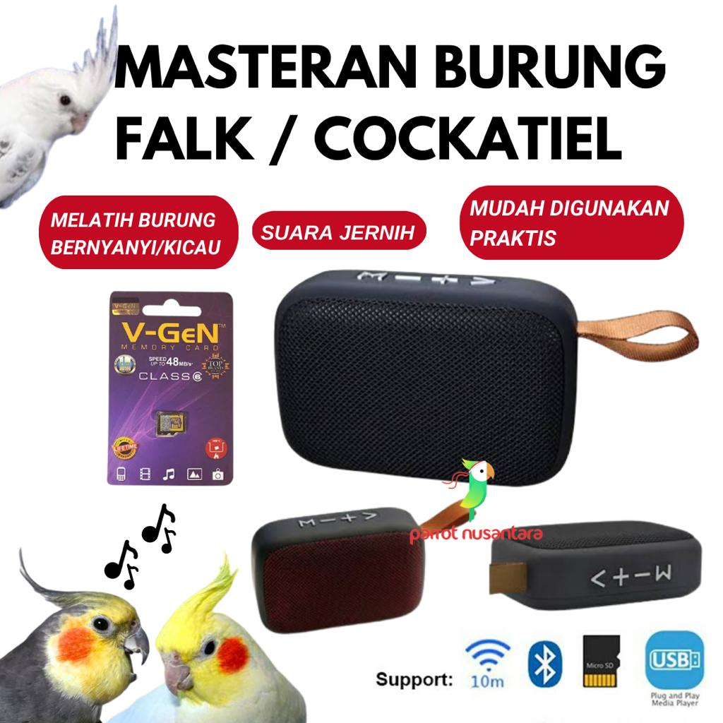 Jual Masteran burung falk parkit australia cockatiel | Shopee Indonesia
