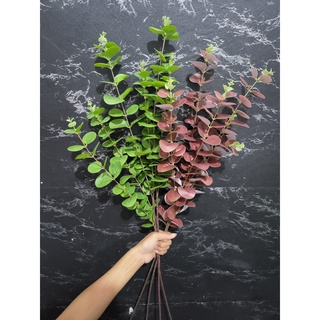 Jual Daun Eucalyptus Real Touch 3 Cabang | Shopee Indonesia
