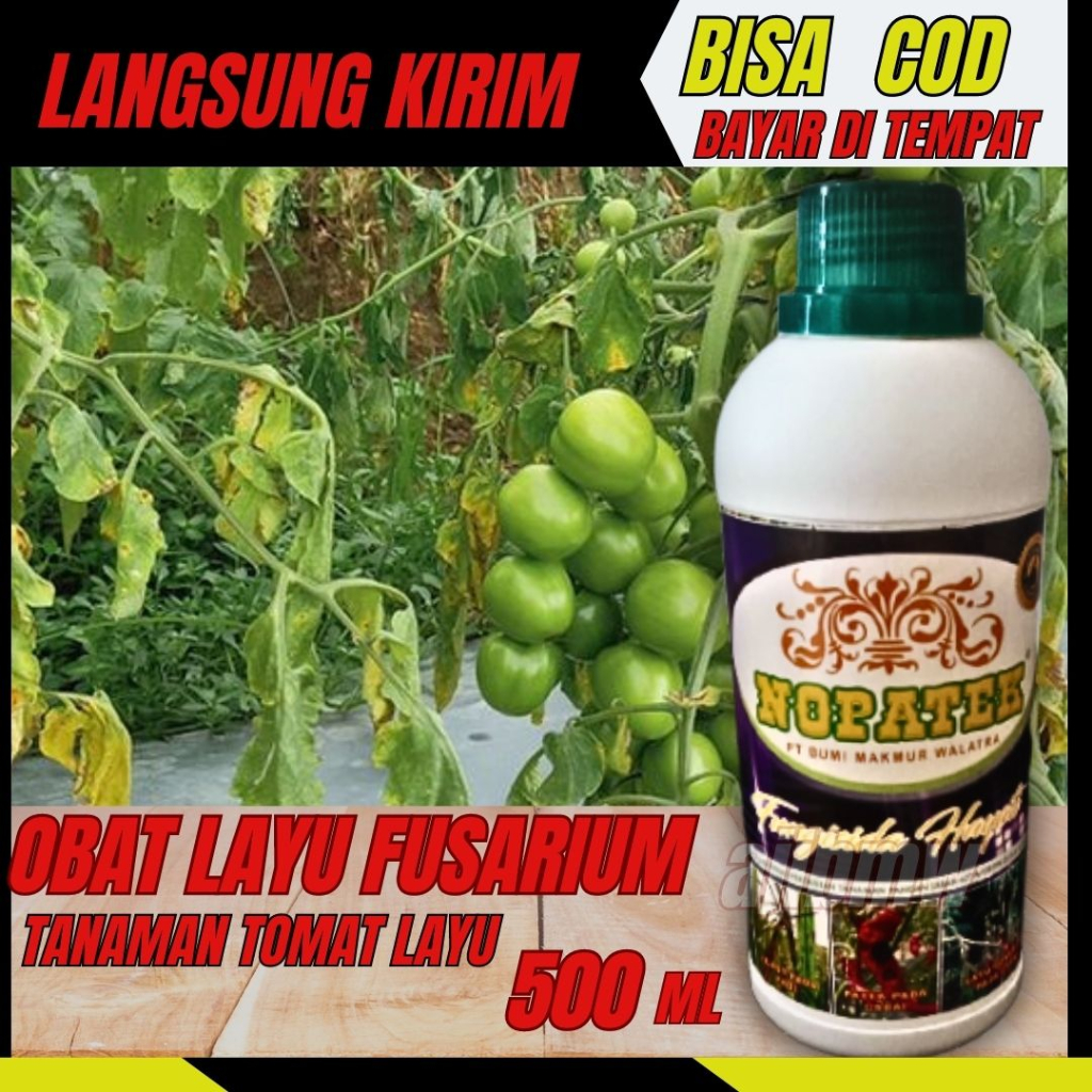 Jual obat penyakit tanaman tomat layu fusarium fungisida nopatek virus ...