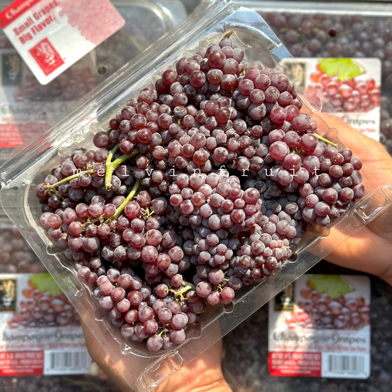 Jual Buah Anggur kecil USA | Shopee Indonesia