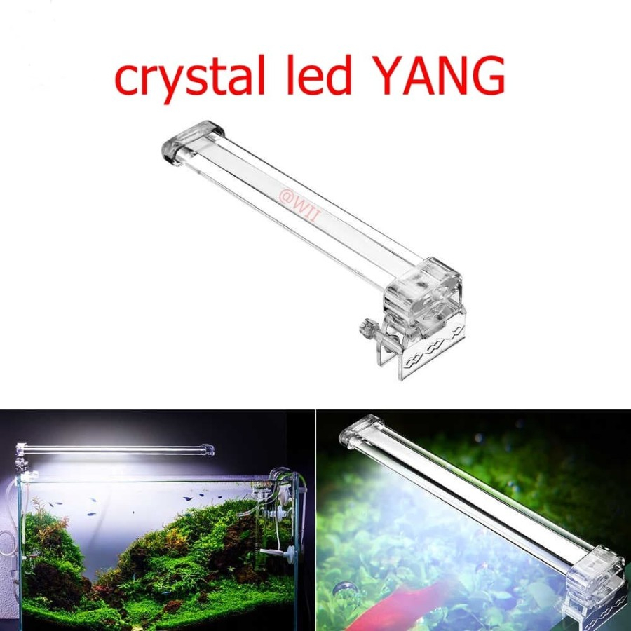 Jual Lampu LED Aquarium Jepit Aquascape Akuarium Mini YANG 3 Watt ...