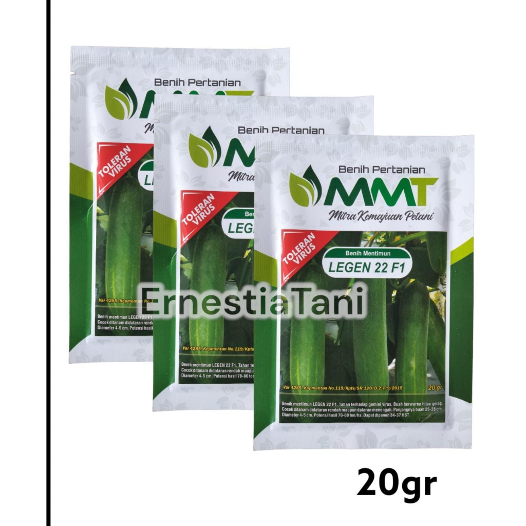 Jual Benih Timun LEGEN 22 F1 Lalap MMT Seed 20 Gram Ketimun Bibit ...