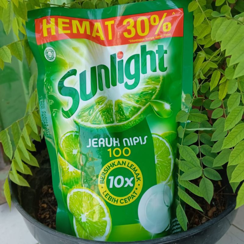 Jual (PROMO) Sunlight 910ml 650ml | Shopee Indonesia