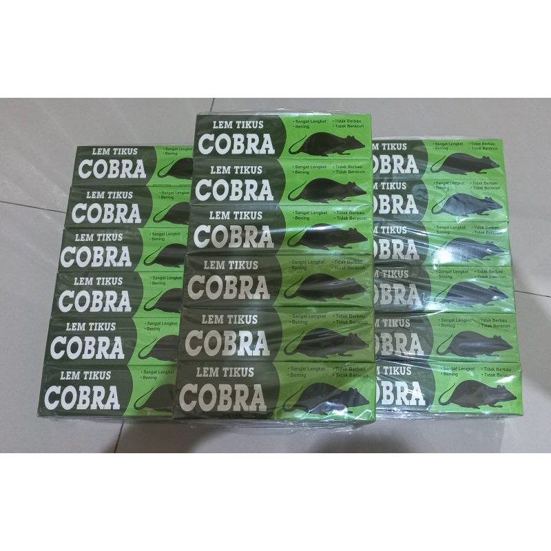 Jual LEM TIKUS COBRA ORIGINAL SUPER LENGKET (6PCS) | Shopee Indonesia