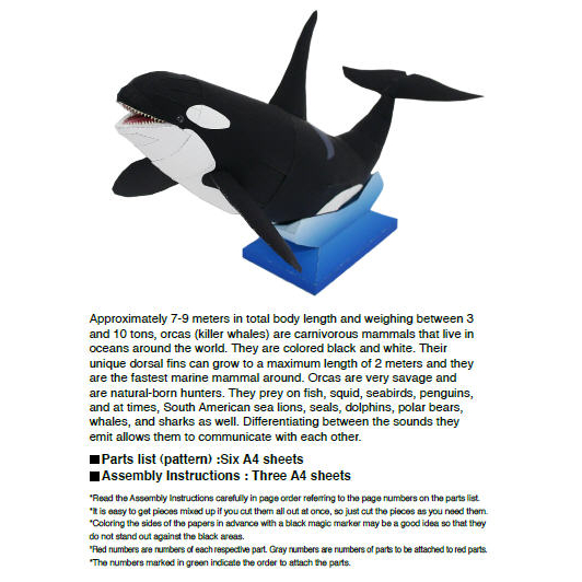 Jual (DIY) Papercraft Paus Orca - Cetak Pola Kerajinan Kertas | Shopee ...