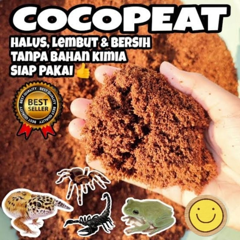 Jual COCOPEAT 500 - Alas Kandang Reptil Ular Gecko Torto Tarantula ...
