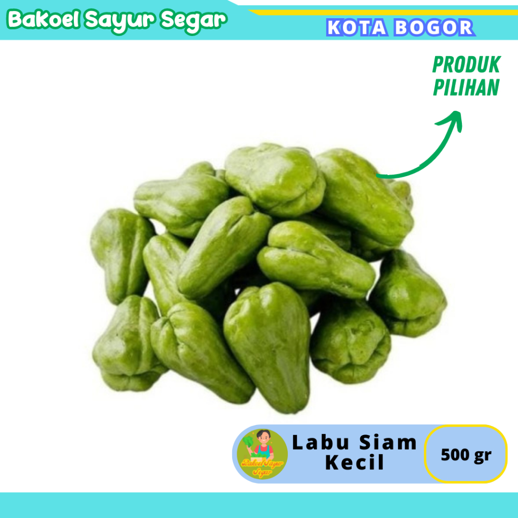 Jual Labu Siam Lalap 500 gr Sayuran Fresh segar sehat Setiap hari Kota ...