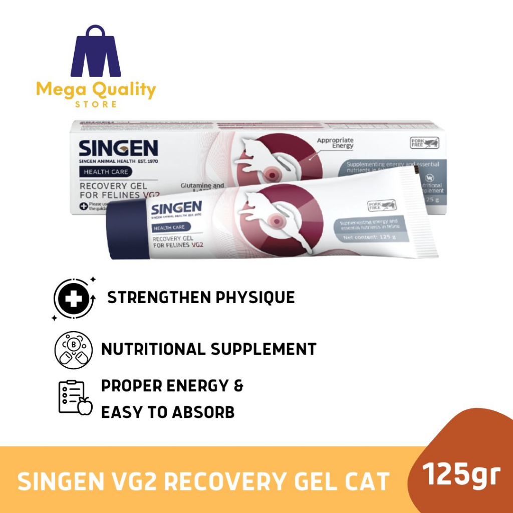 Jual Singen VG2 Recovery Nutrition Gel Plus Cat 125gr | Shopee Indonesia