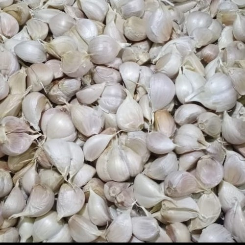 Jual bawang putih segar kating Bersih 250gr | Shopee Indonesia