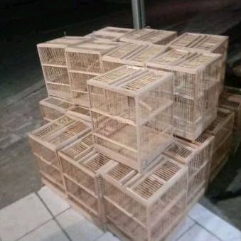 Jual kandang jebak jebakan burung otomatis full kayu | Shopee Indonesia