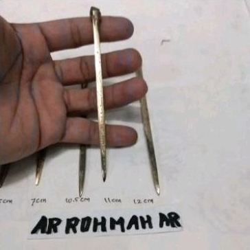 Jual Paku Bumi Kuningan ukuran 11cm | Shopee Indonesia