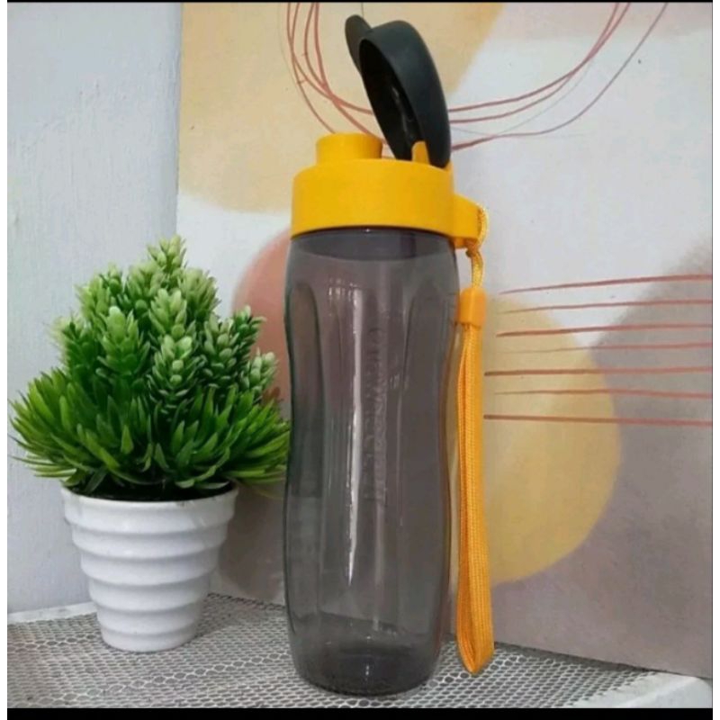 Jual eco fashion bottle 500ml tupperware / botol 500ml tupperware ...