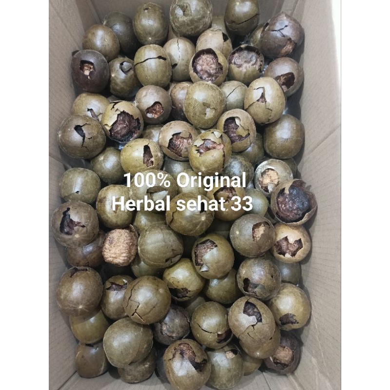 Jual buah Lo Han guo Mateng di pohon pecah manis luo Han Kuo | Shopee ...