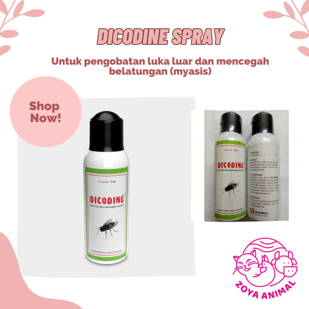 Jual Dicodine Spray | Medion | Obat luka, mencegah belatungan (Myasis ...