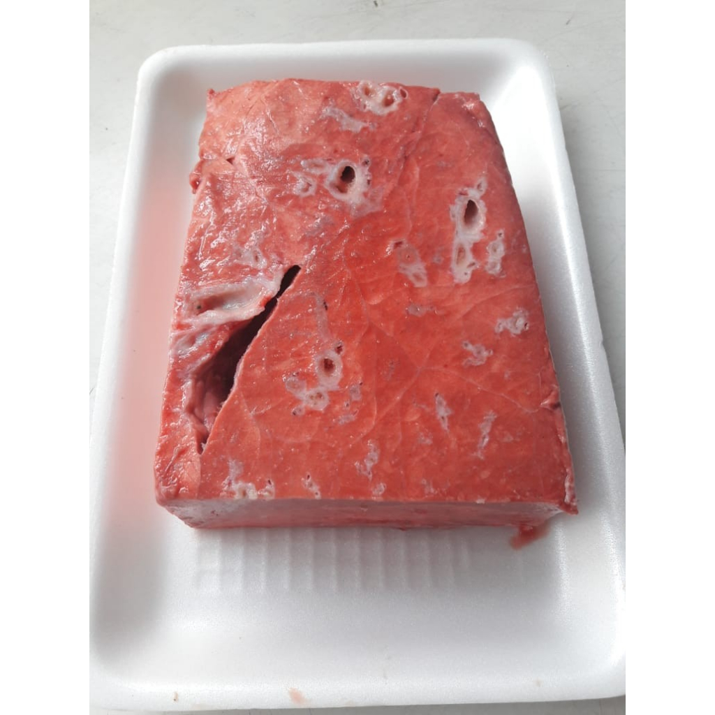 Jual PARU SAPI (BEEF LUNGS) / 1KG | Shopee Indonesia