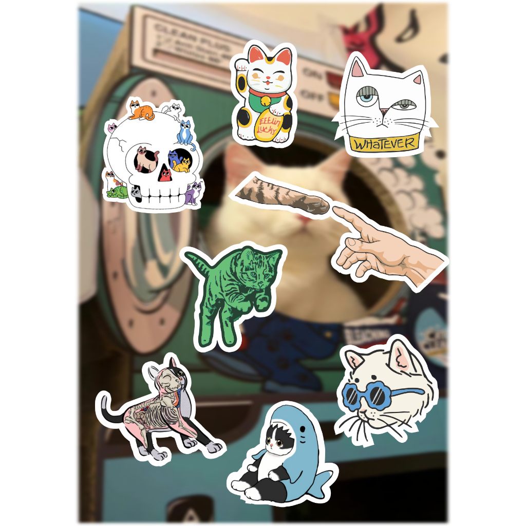 Jual Sticker CATS Kucing Aesthetic Waterproof| Stiker Aesthetic ...