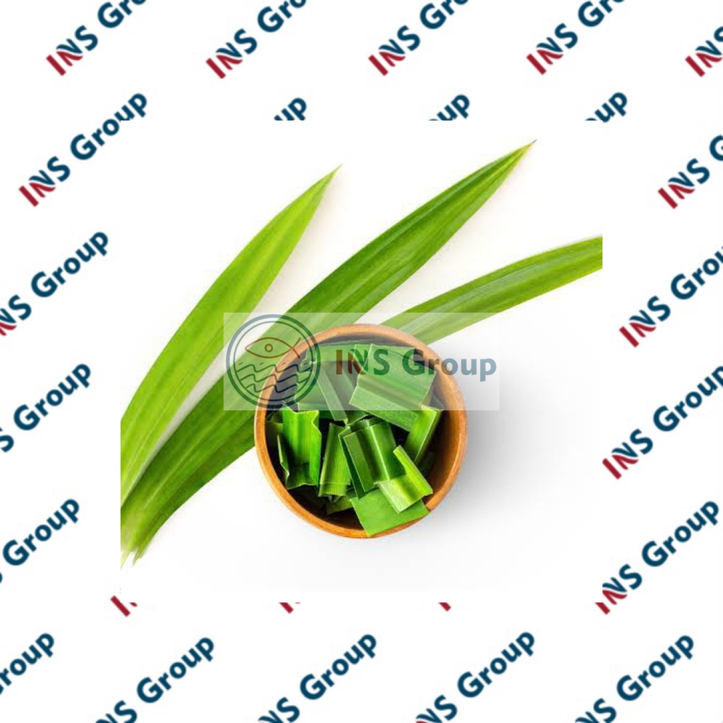 Jual Daun Pandan Per Ikat | Shopee Indonesia