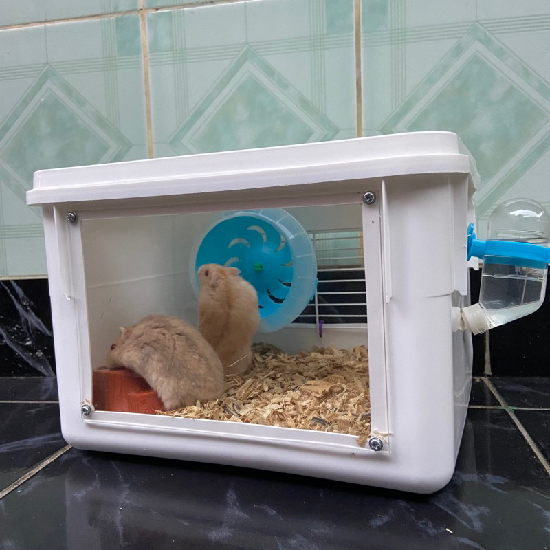 Jual Kandang Hamster / Landak Mini / Gerbil / Marmut Reptil Box Eskrim ...
