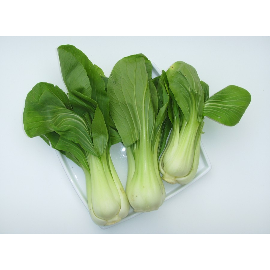 Jual Sayur Pak Choy Sawi Daging Fresh Segar 1 Kg pakcoy pakchoy ...