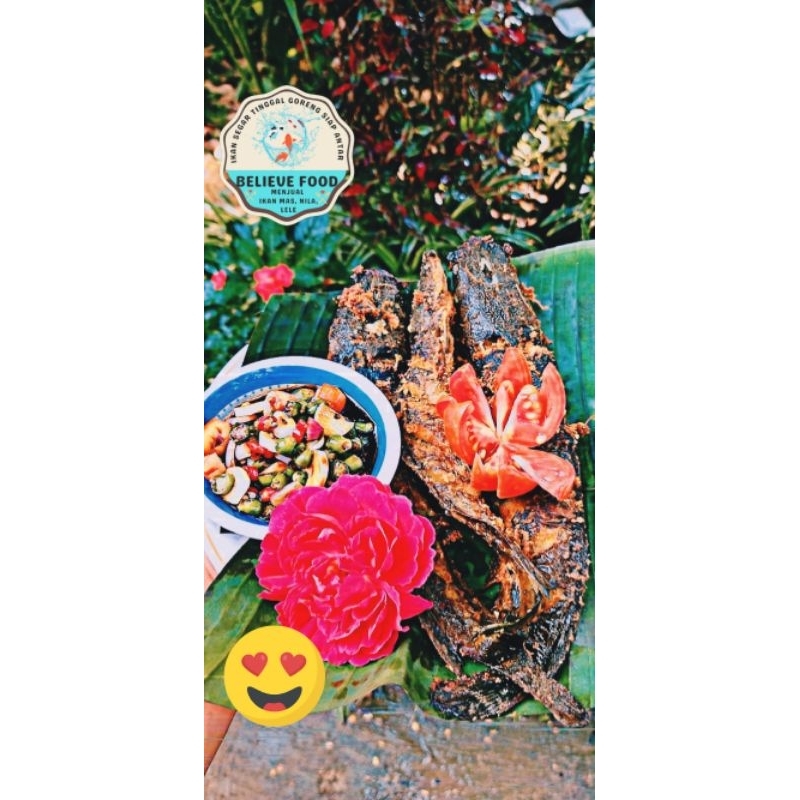 Jual FROZEN FOOD IKAN LELE | Shopee Indonesia